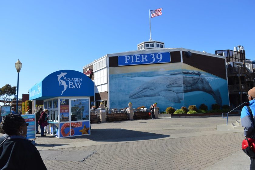 Visiting Pier 39 In San Francisco | Ambition Earth